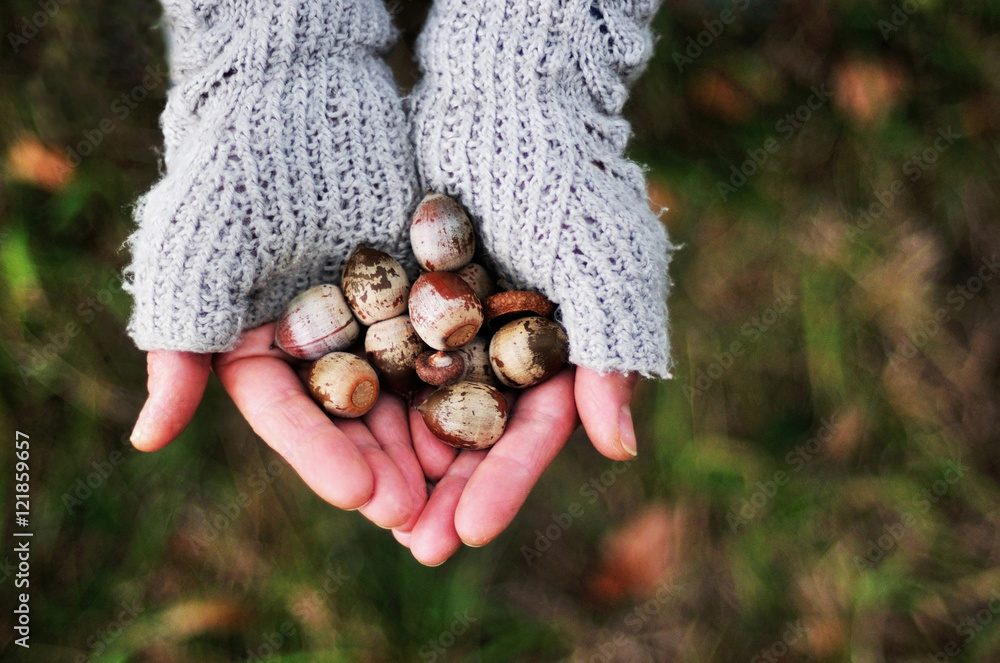 Fistful of acons in female hands. Stock Photo | Adobe Stock