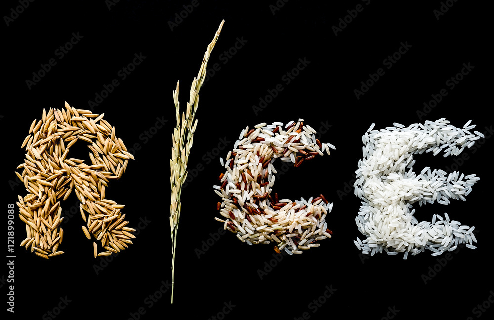 Alphabet letter from rice plant, paddy seed, brown rice, white (jasmine ...