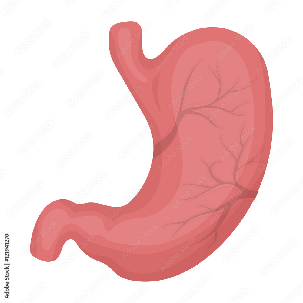 Stomach icon in cartoon style isolated on white background. Organs ...