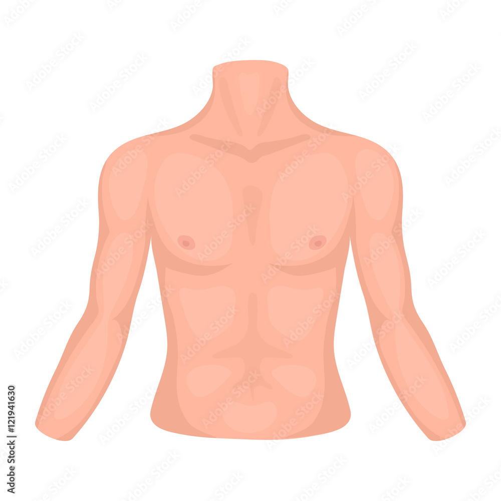 Chest Icon In Cartoon Style Isolated On White Background Part Of Body Symbol Stock Vector