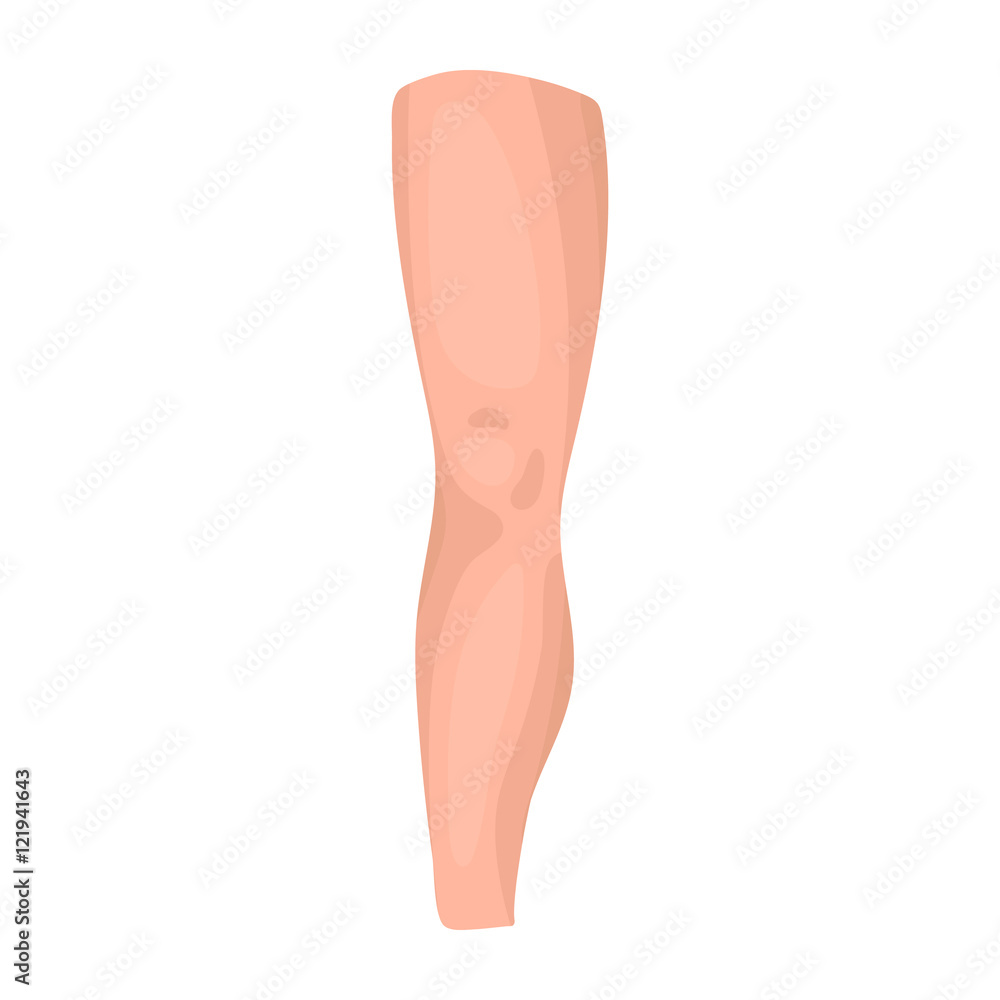 Area Of Body Legs