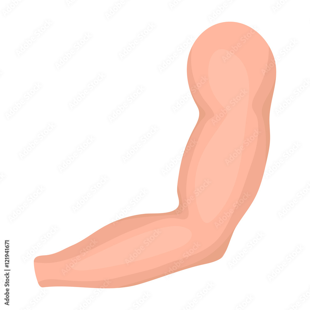 Arm icon in cartoon style isolated on white background. Part of body ...