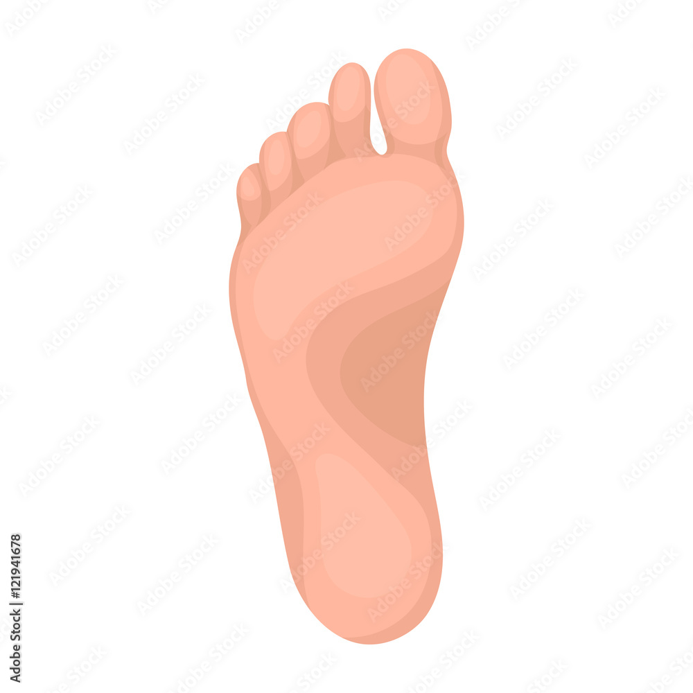 Foot icon in cartoon style isolated on white background. Part of body ...