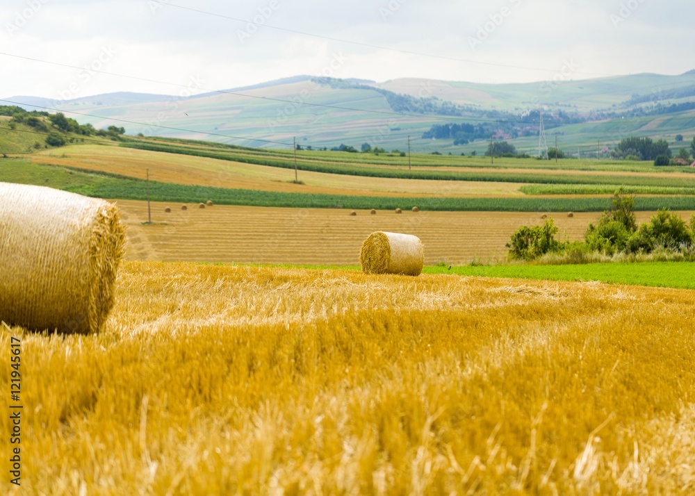 Rural work and production Stock Photo | Adobe Stock