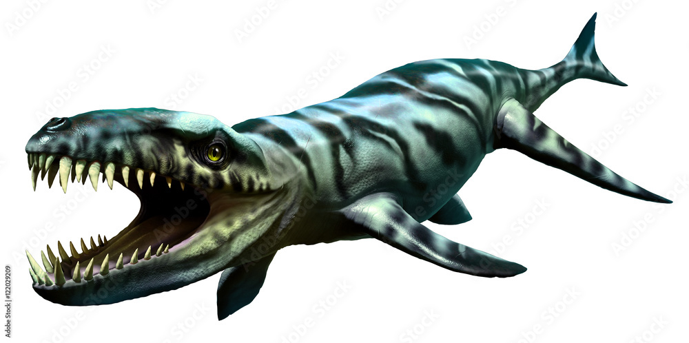 Dakosaurus