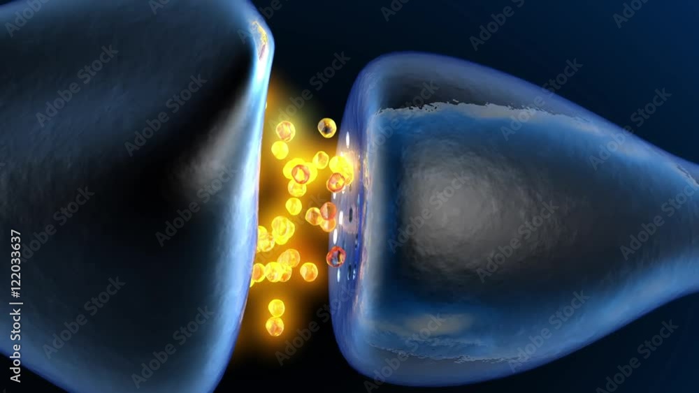Neurotransmission in the Synapse. 3D rendered animation. Stock-Video ...