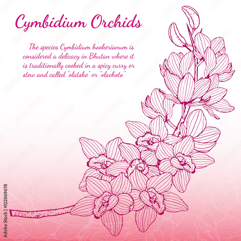 Cymbidium Orchids vector on brown background.Cymbidium Orchids set by ...