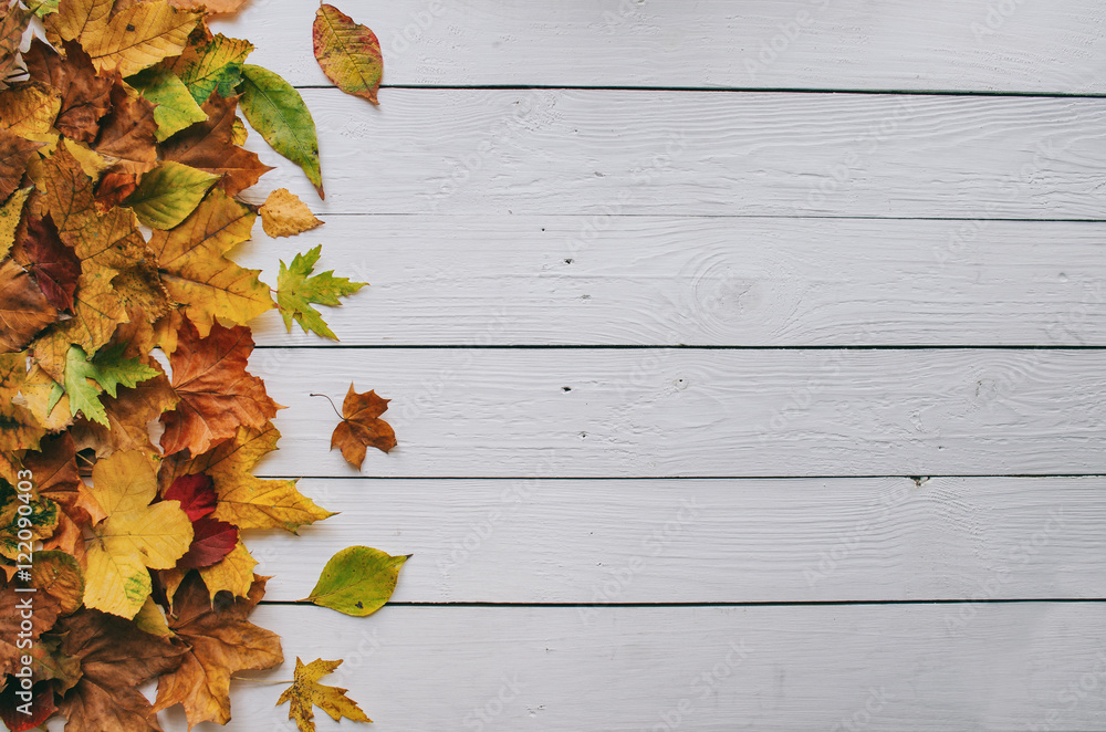 Colorful autumn dry leaves border frame on white painted rustic barn ...