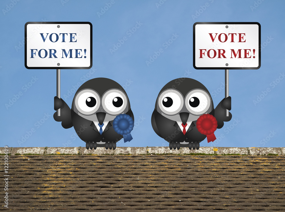 Left and right wing politicians vying for your vote Stock Illustration ...