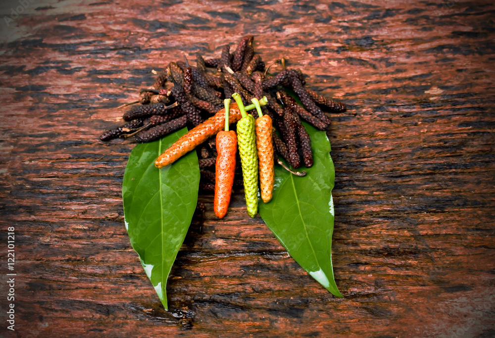 Long Pepper, Indian long pepper, Javanese long pepper (Piper ...
