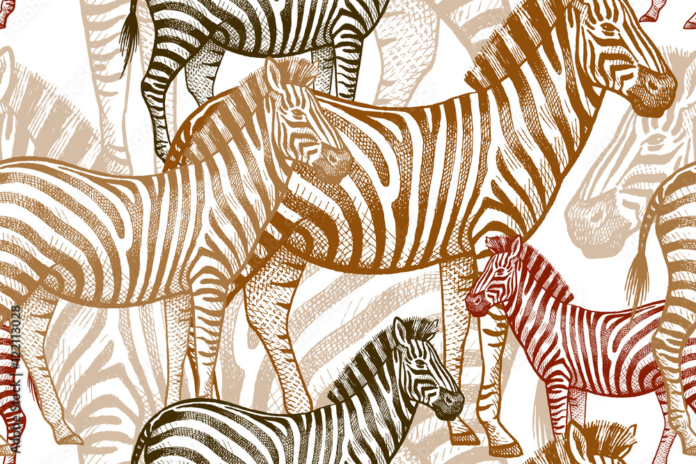 Seamless vector pattern with African animals. Colored Zebra on a white ...
