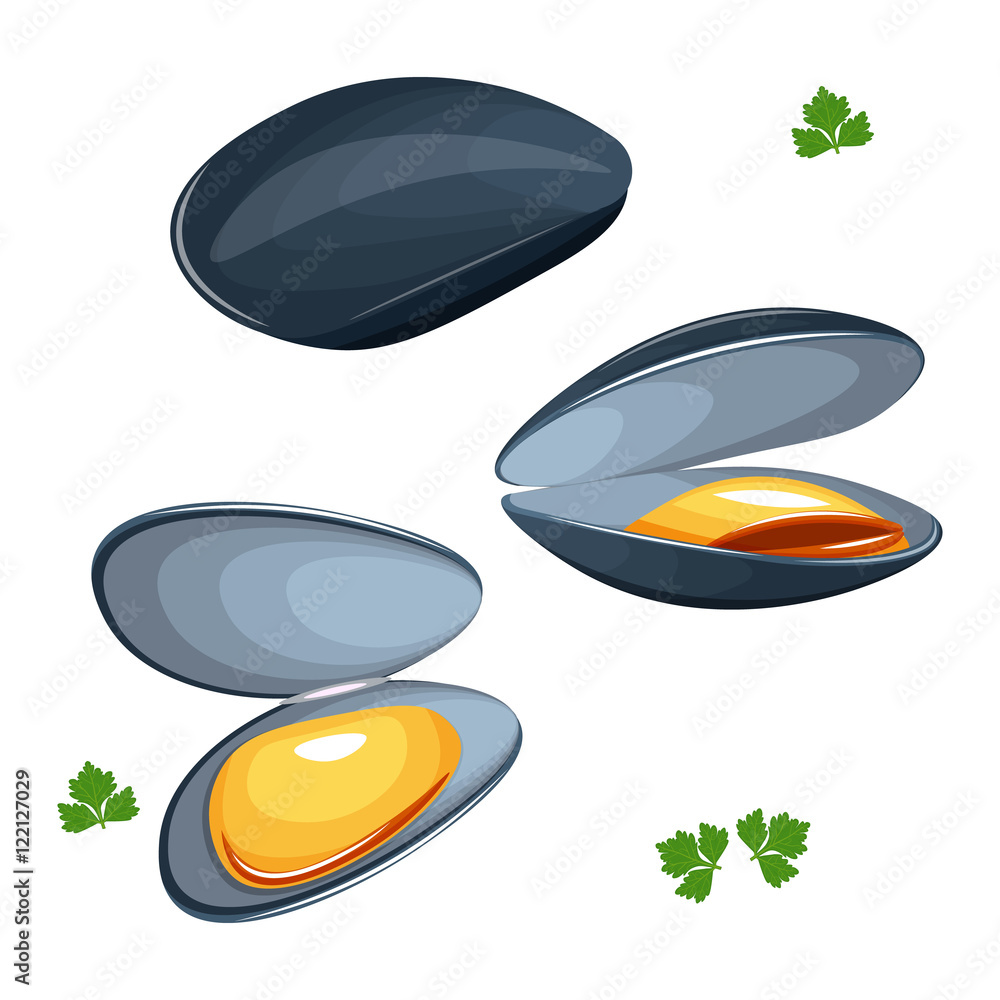 mussels vector illustration isolated on white background Stock Vector ...