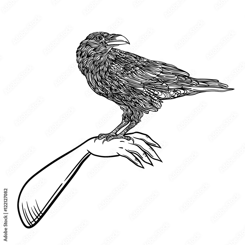 bird raven zentangle style. Good for T-shirt, bag, coloring book or ...