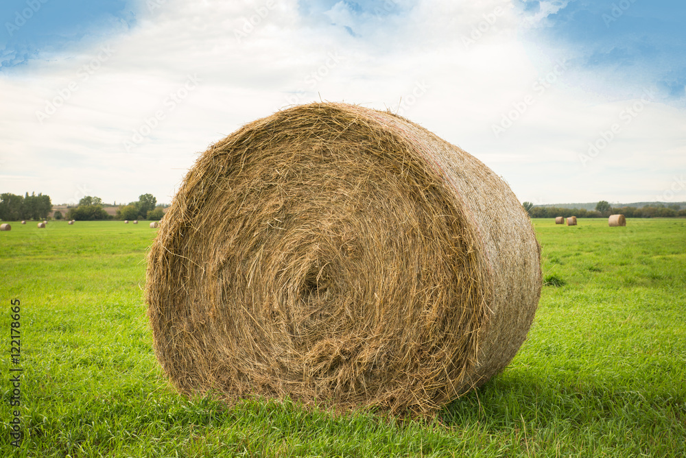 Einzelner Heuballen foto de Stock | Adobe Stock
