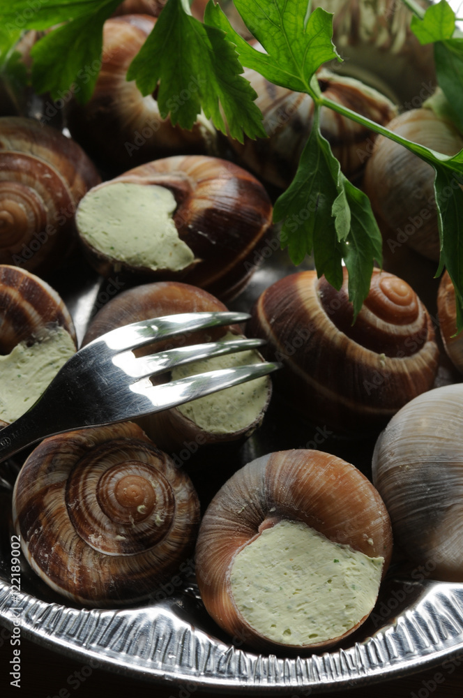 Caragol Escargot 에스카르고 Schnecke エスカルゴ Ślimaki lądowe w kuchni 法國蝸牛 ...