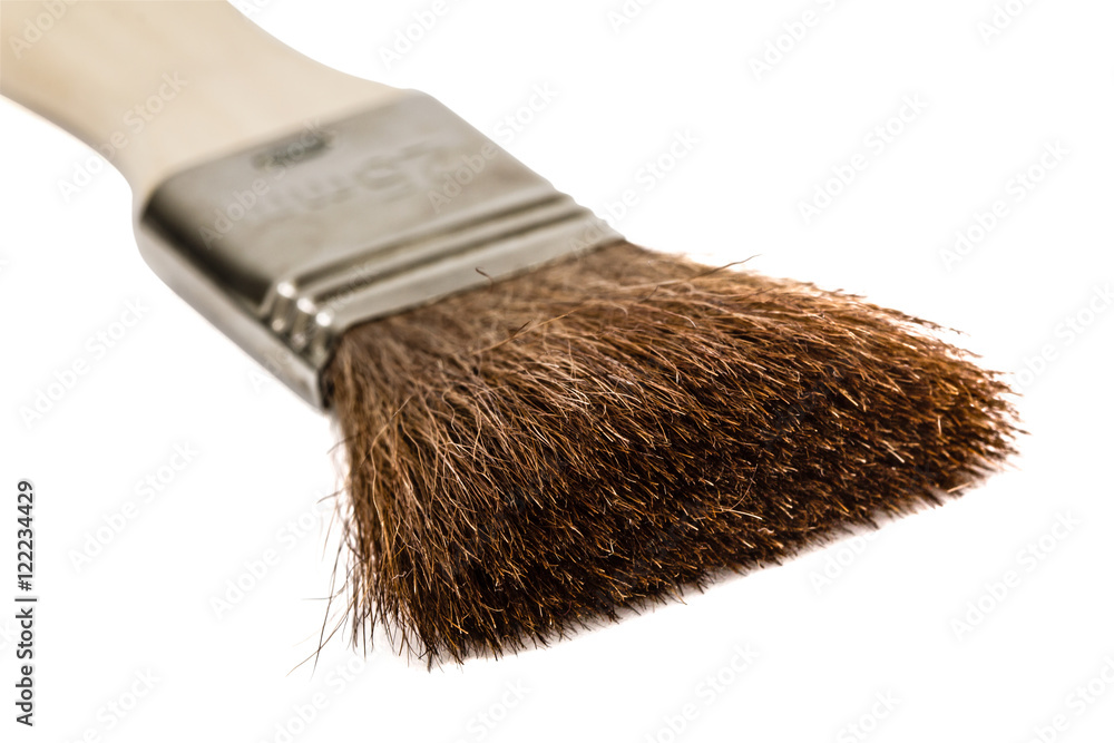 New prush close-up isolated on white background Stock Photo | Adobe Stock