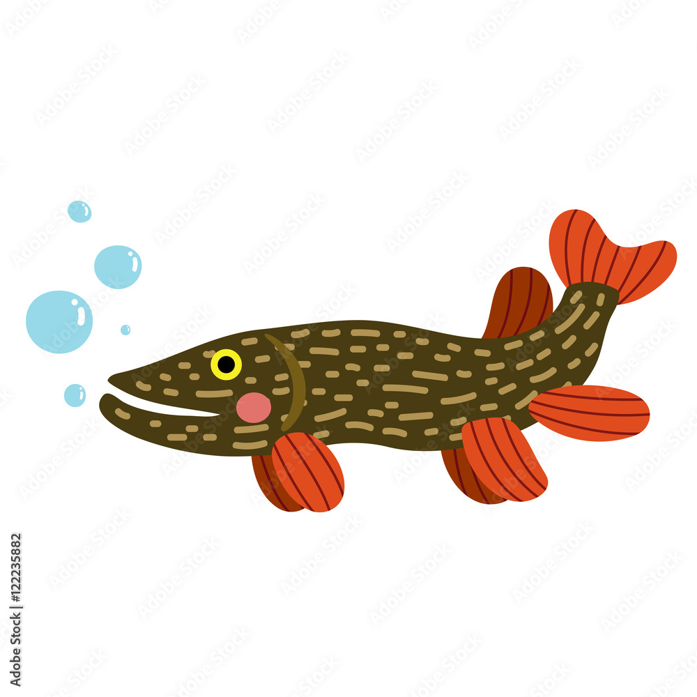 Pike fish animal cartoon character. Isolated on white background ...