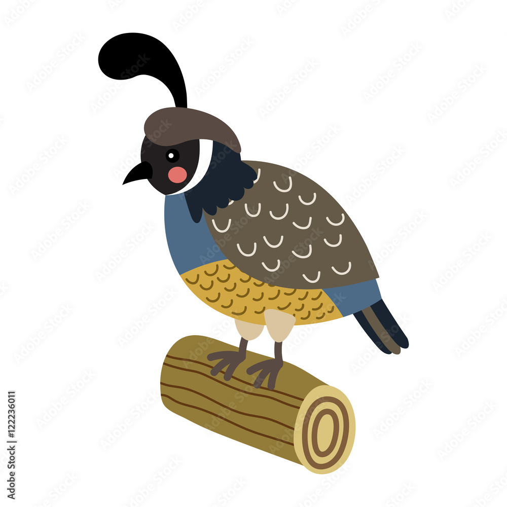 Quail Cartoon Character
