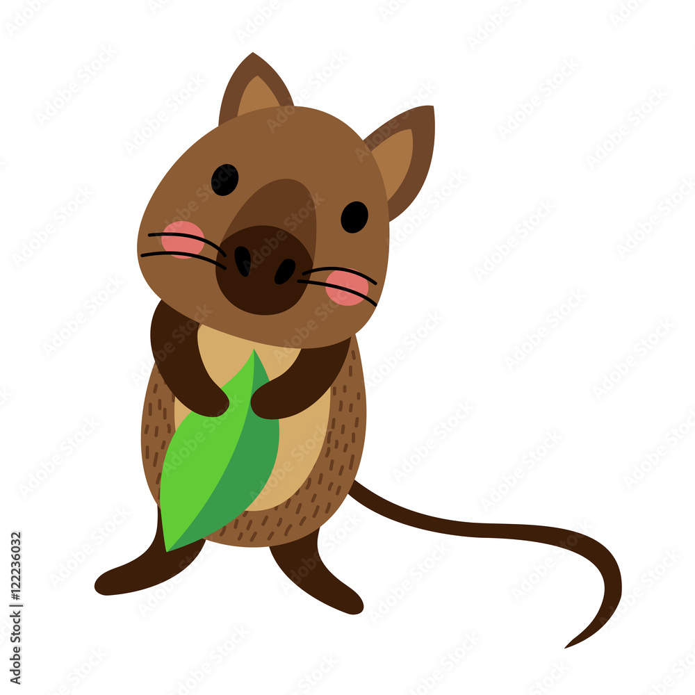 Quokka holding leaf animal cartoon character. Isolated on white ...
