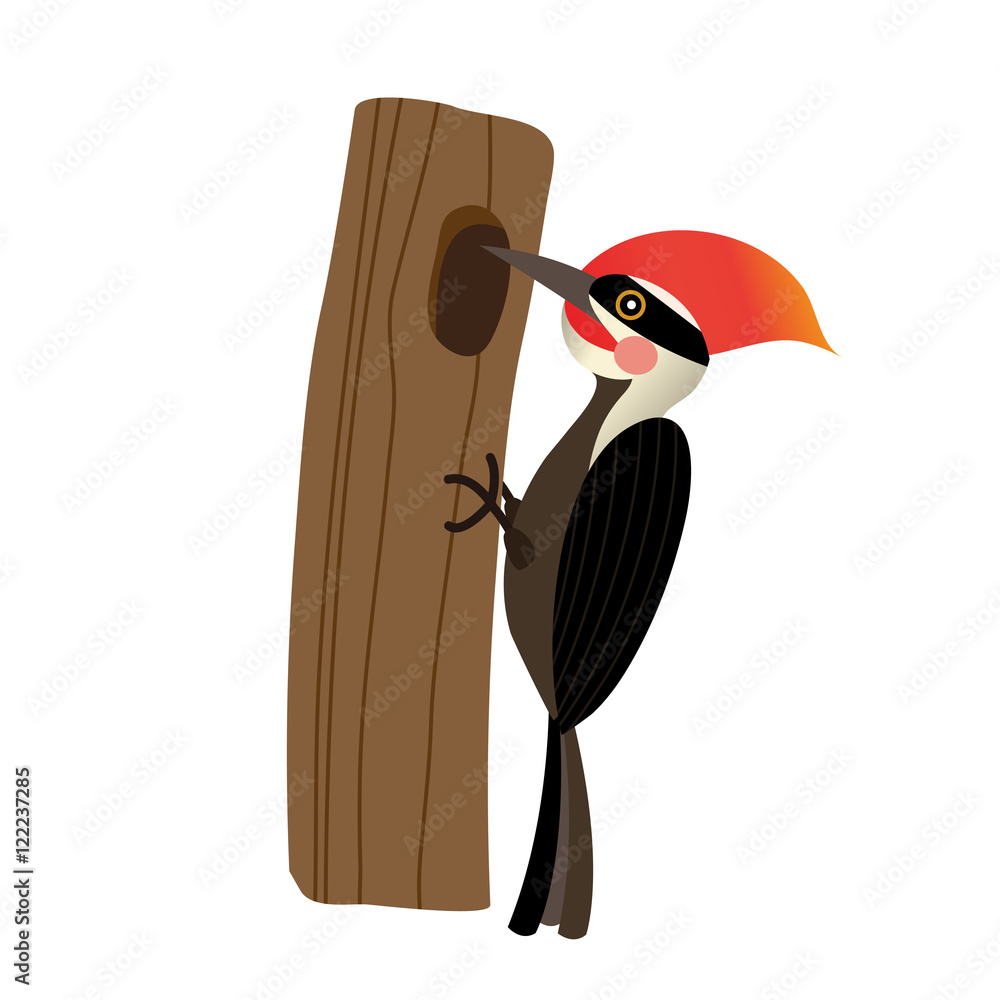 Woodpecker bird perching tree animal cartoon character. Isolated on ...
