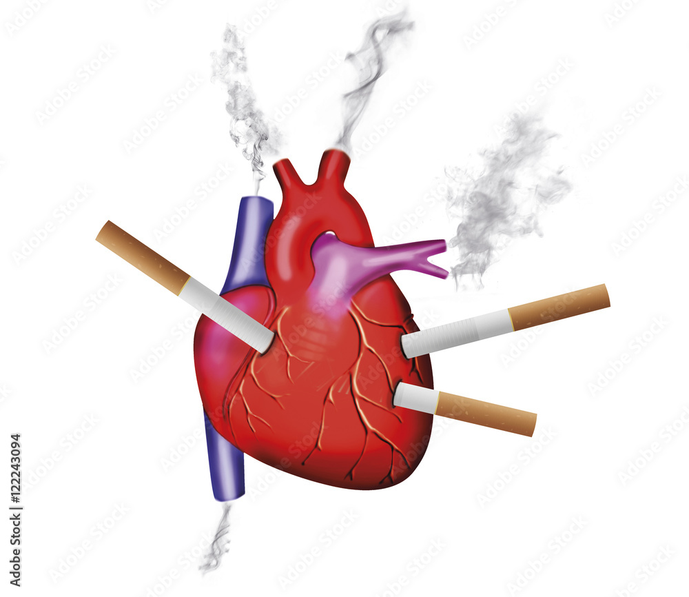 heart with cigarettes Stock Illustration | Adobe Stock