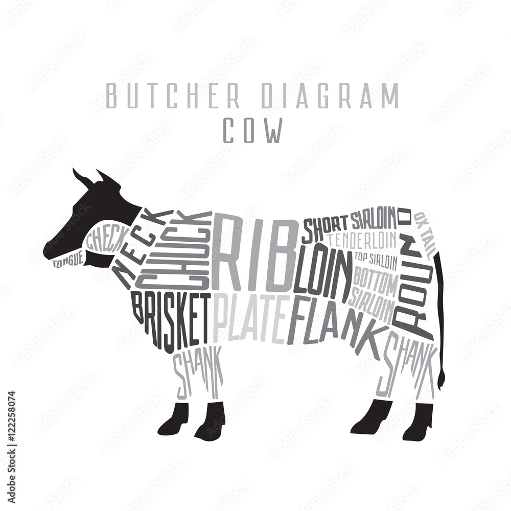 Cow butcher diagram. Cut of beef set. Typographic vintage Stock Vector ...