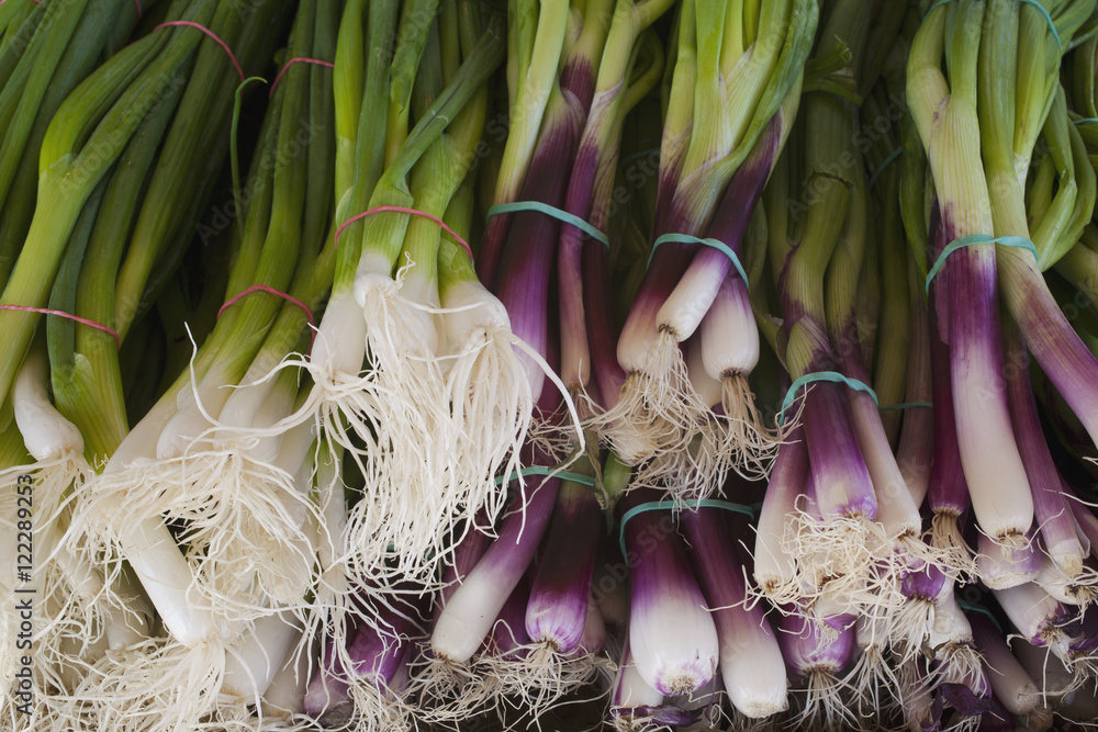 Leeks for sale at a roadside stand, Dunham, Quebec, Canada Stock Photo ...