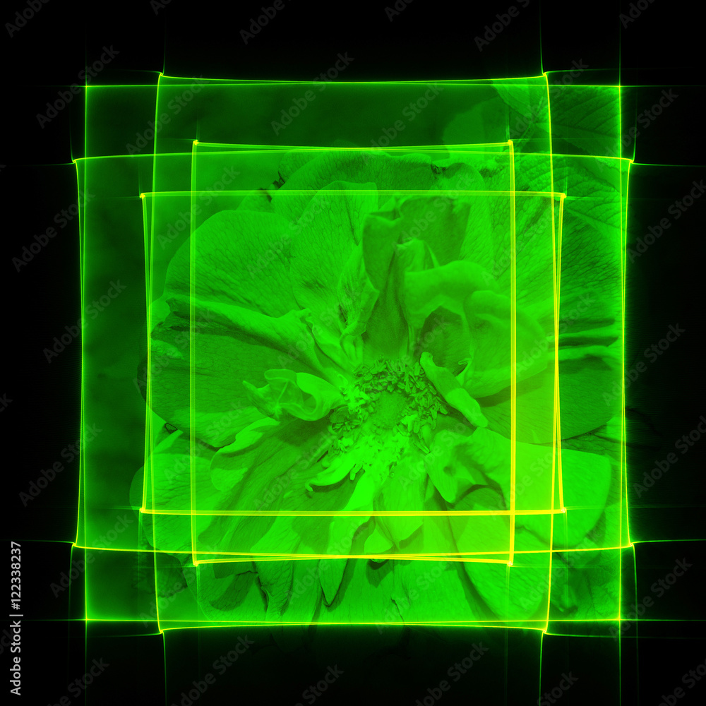Flower in a green translucent frame on a black background Stock ...