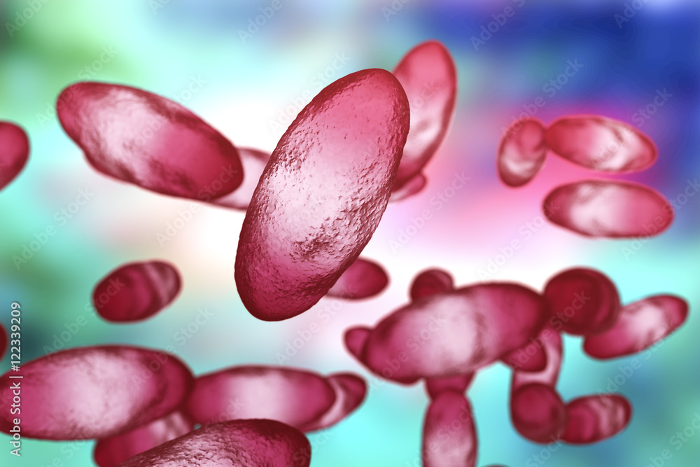 Bubonic plague bacteria Yersinia pestis. 3D illustration shows bipolar ...