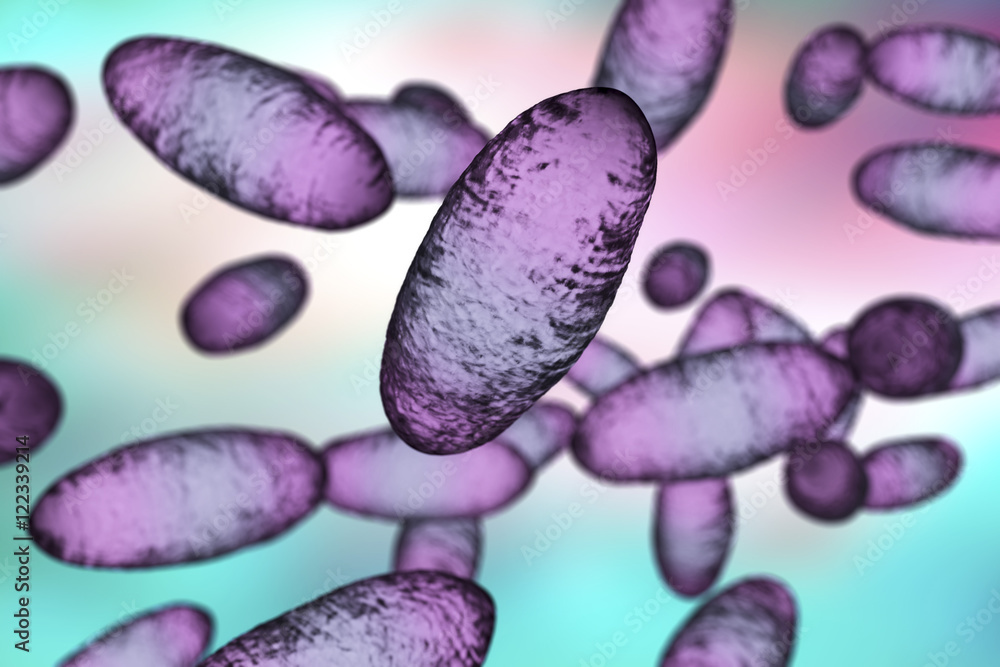 Bubonic plague bacteria Yersinia pestis. 3D illustration shows bipolar ...
