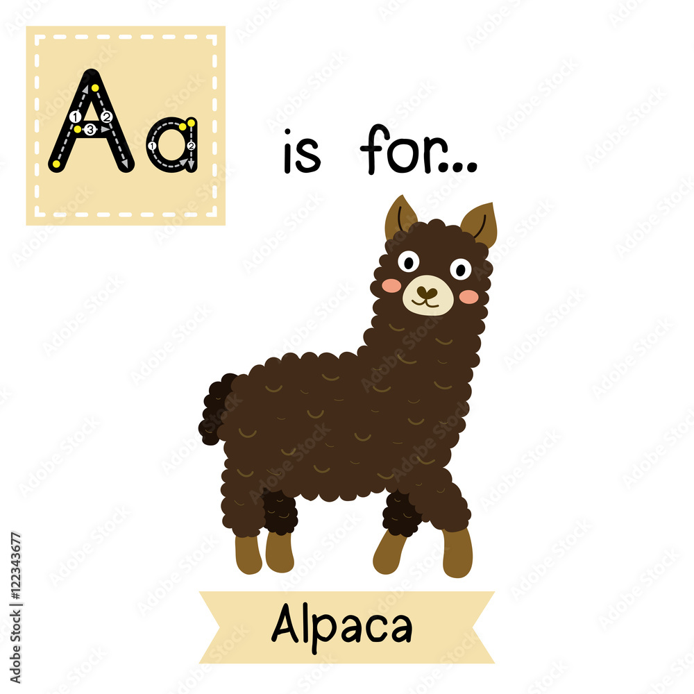 A letter tracing. Dark brown Alpaca. Cute children zoo alphabet. Funny ...