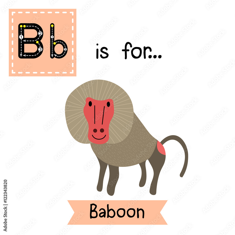 B letter tracing. Baboon. Cute children zoo alphabet flash card. Funny ...