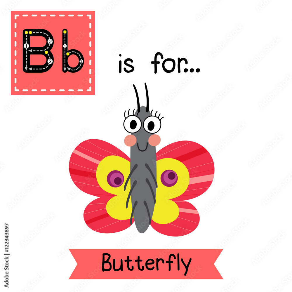 B letter tracing. Colorful Butterfly. Cute children zoo alphabet flash ...