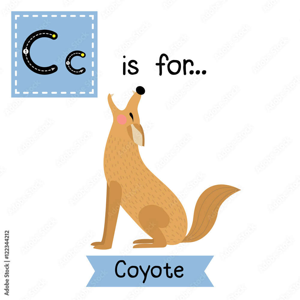 C letter tracing. Howling Coyote. Cute children zoo alphabet flash card ...