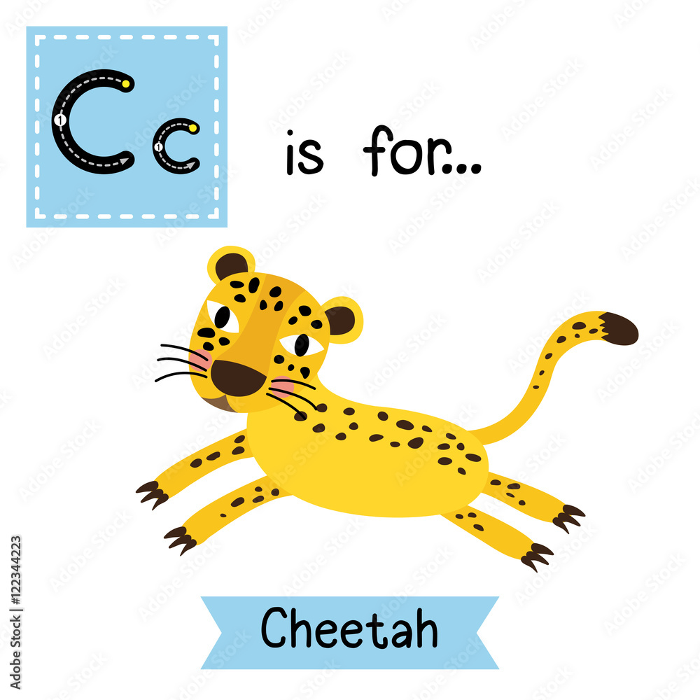 C letter tracing. Jumping Cheetah. Cute children zoo alphabet flash ...