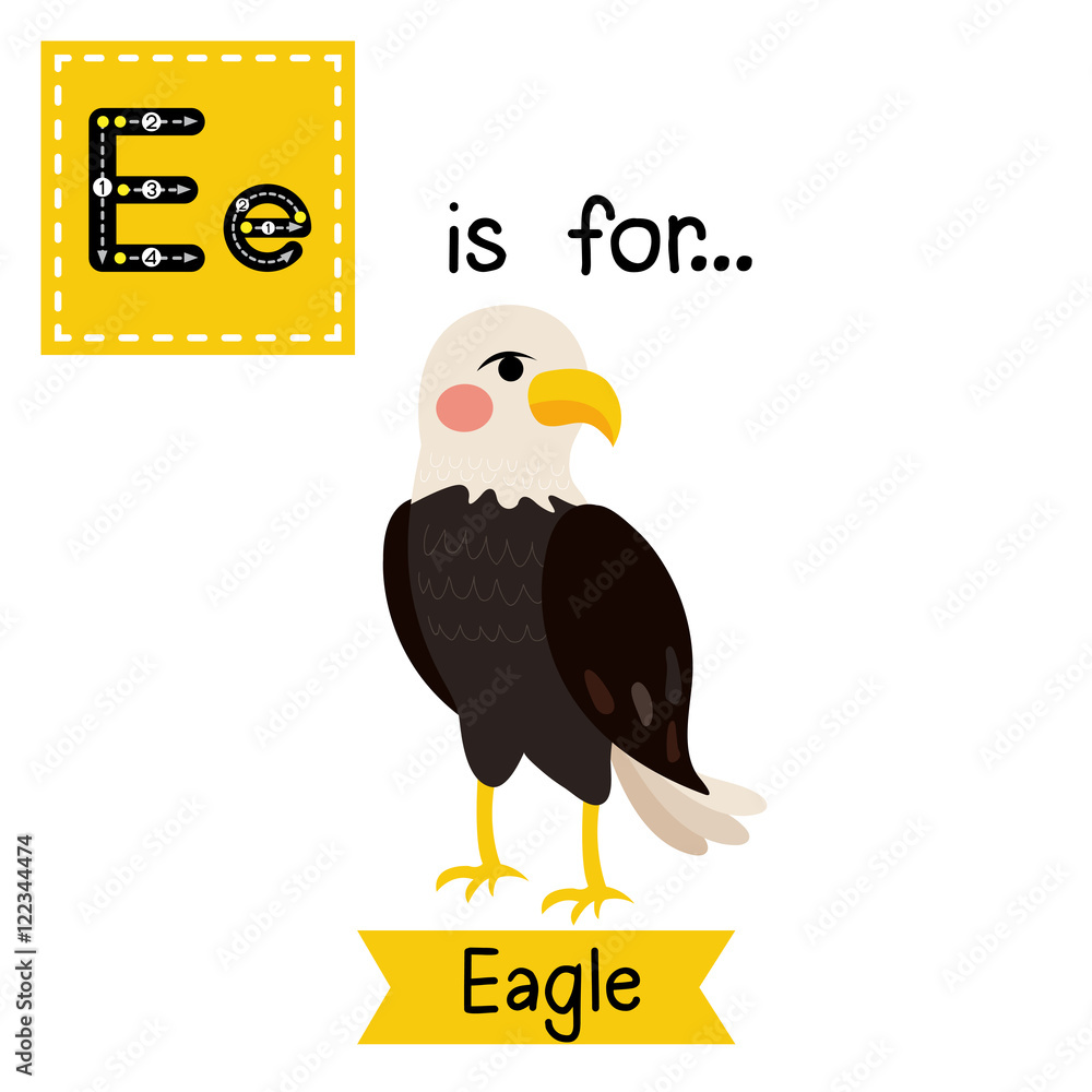 E letter tracing. Standing Eagle. Cute children zoo alphabet flash card ...