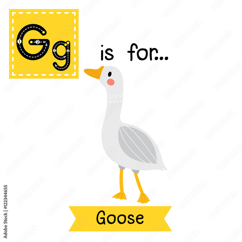 G letter tracing. Goose. Cute children zoo alphabet flash card. Funny ...