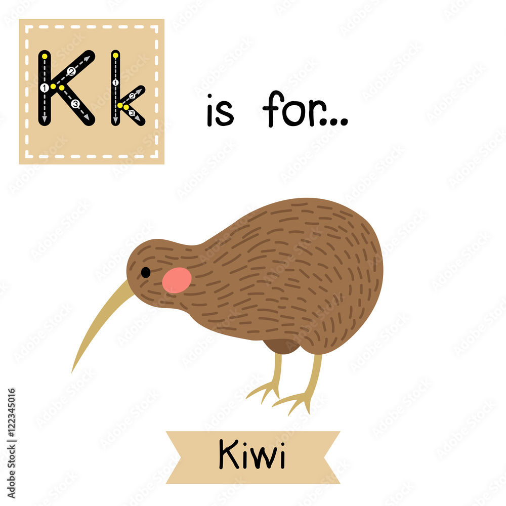 K letter tracing. Kiwi bird. Cute children zoo alphabet flash card ...