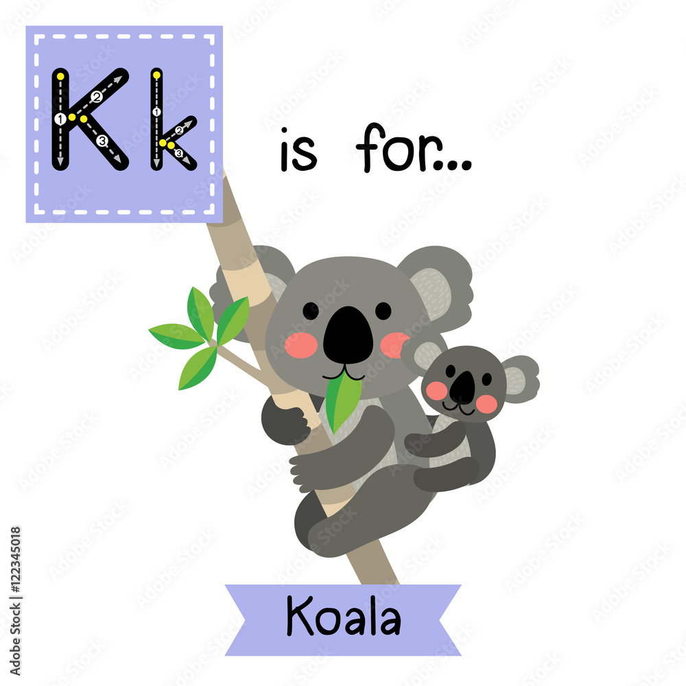 K letter tracing. Koala bear and baby koala. Cute children zoo alphabet ...