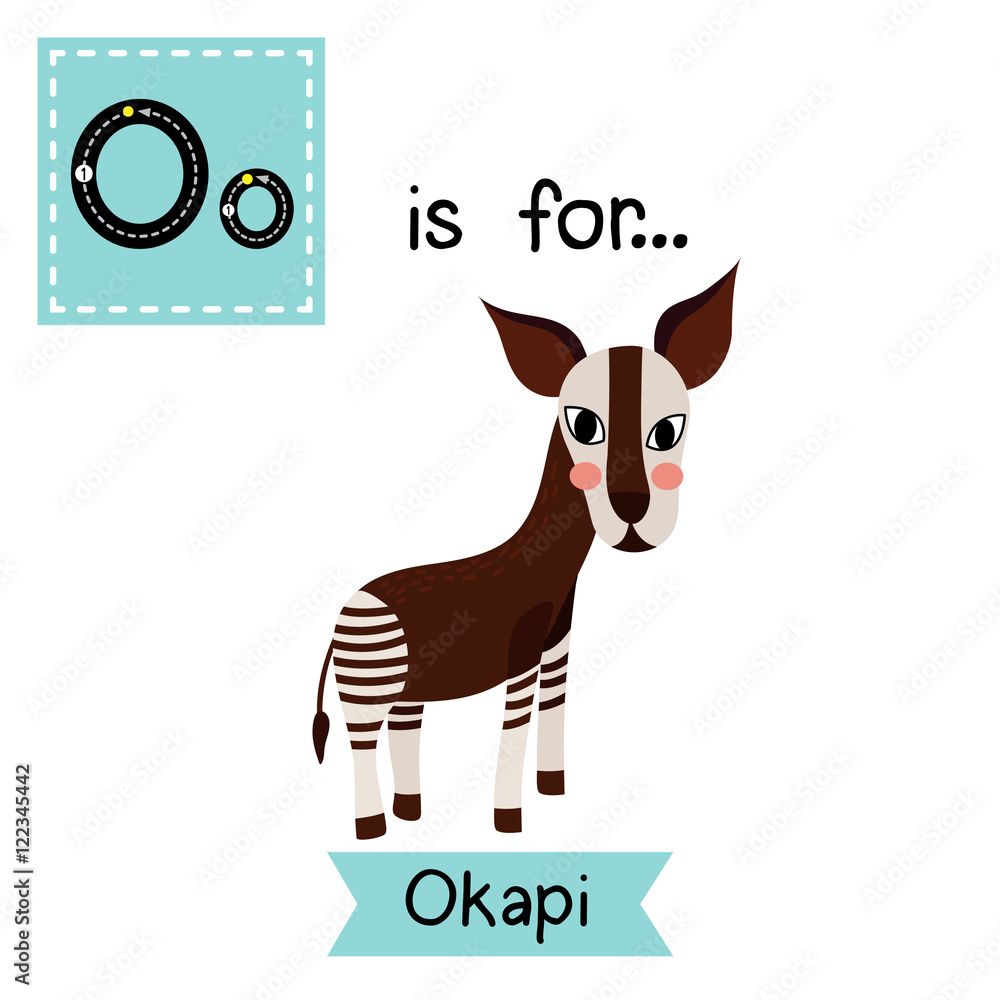 O letter tracing. Standing Okapi. Cute children zoo alphabet flash card ...