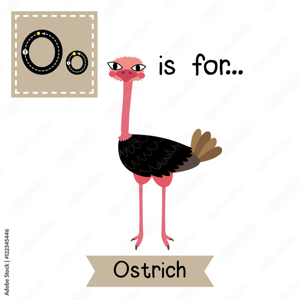 O letter tracing. Standing Ostrich. Cute children zoo alphabet flash ...