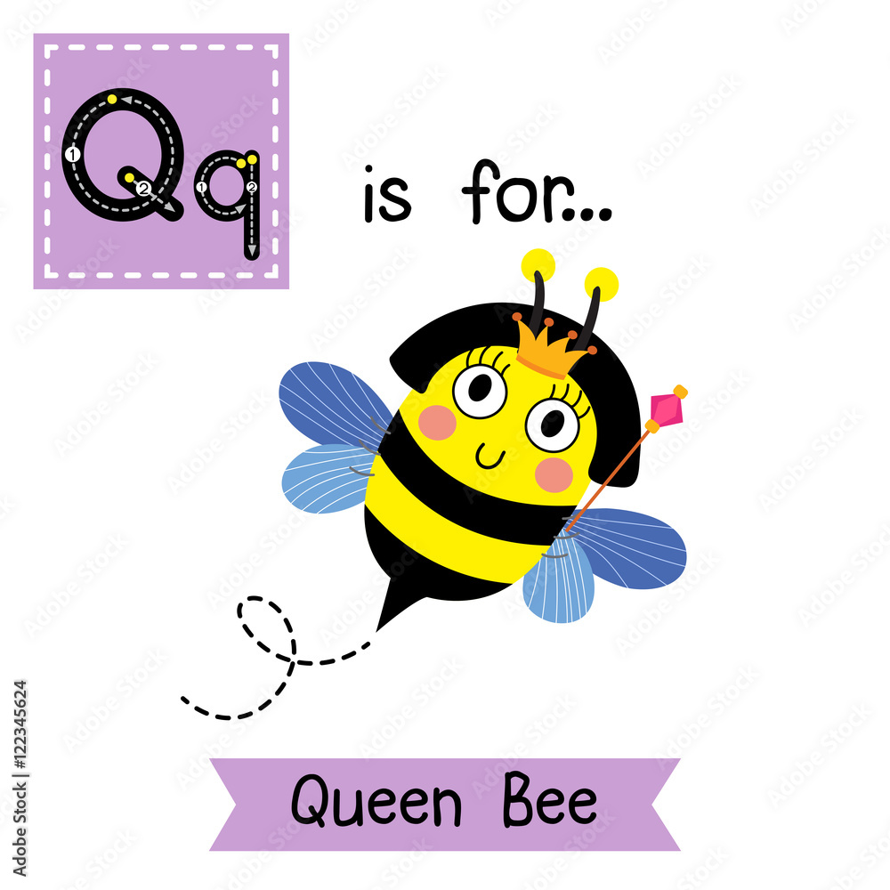Q letter tracing. Cute Queen Bee holding scepter. Cute children zoo ...