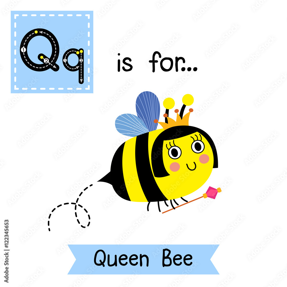 Q letter tracing. Queen Bee holding scepter. Cute children zoo alphabet ...