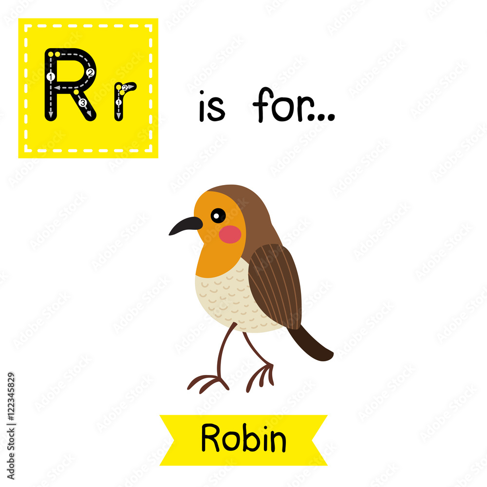 R letter tracing. Walking Robin bird. Cute children zoo alphabet flash ...