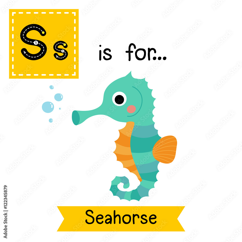 S letter tracing. Cute Seahorse. Cute children zoo alphabet flash card ...