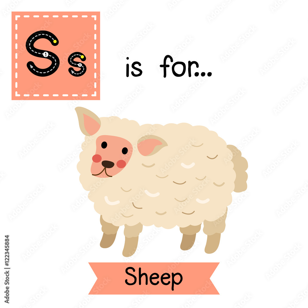S letter tracing. Standing Sheep. Cute children zoo alphabet flash card ...