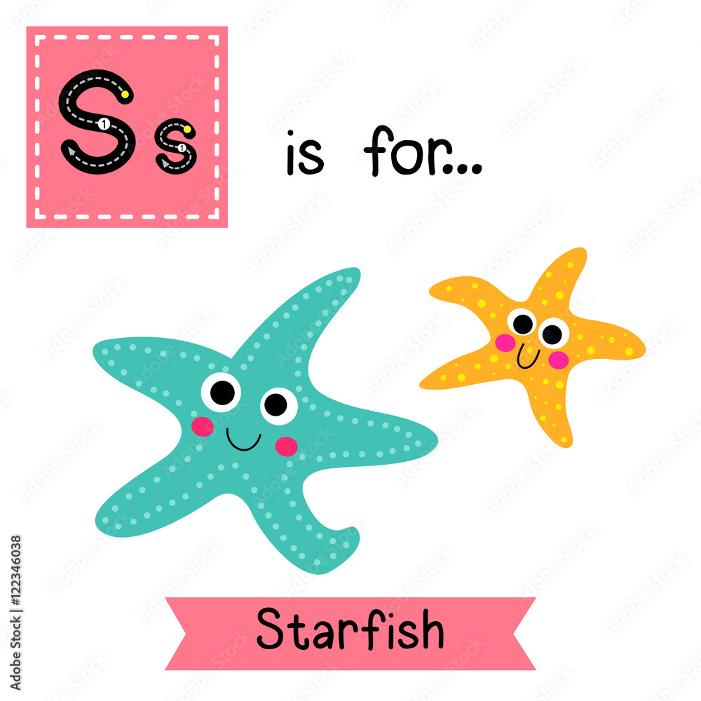 S letter tracing. Smiling Starfish. Cute children zoo alphabet flash ...
