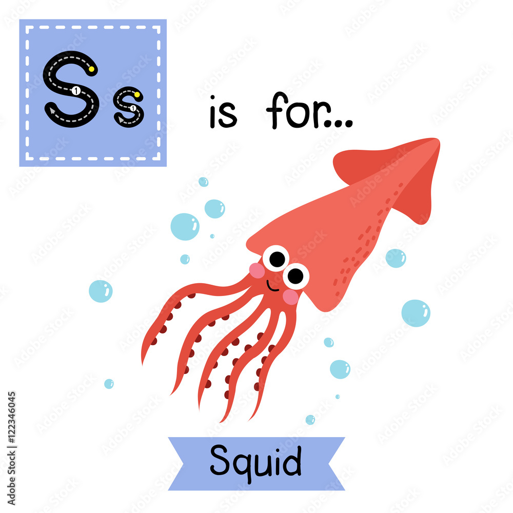 S letter tracing. Squid. Cute children zoo alphabet flash card. Funny ...
