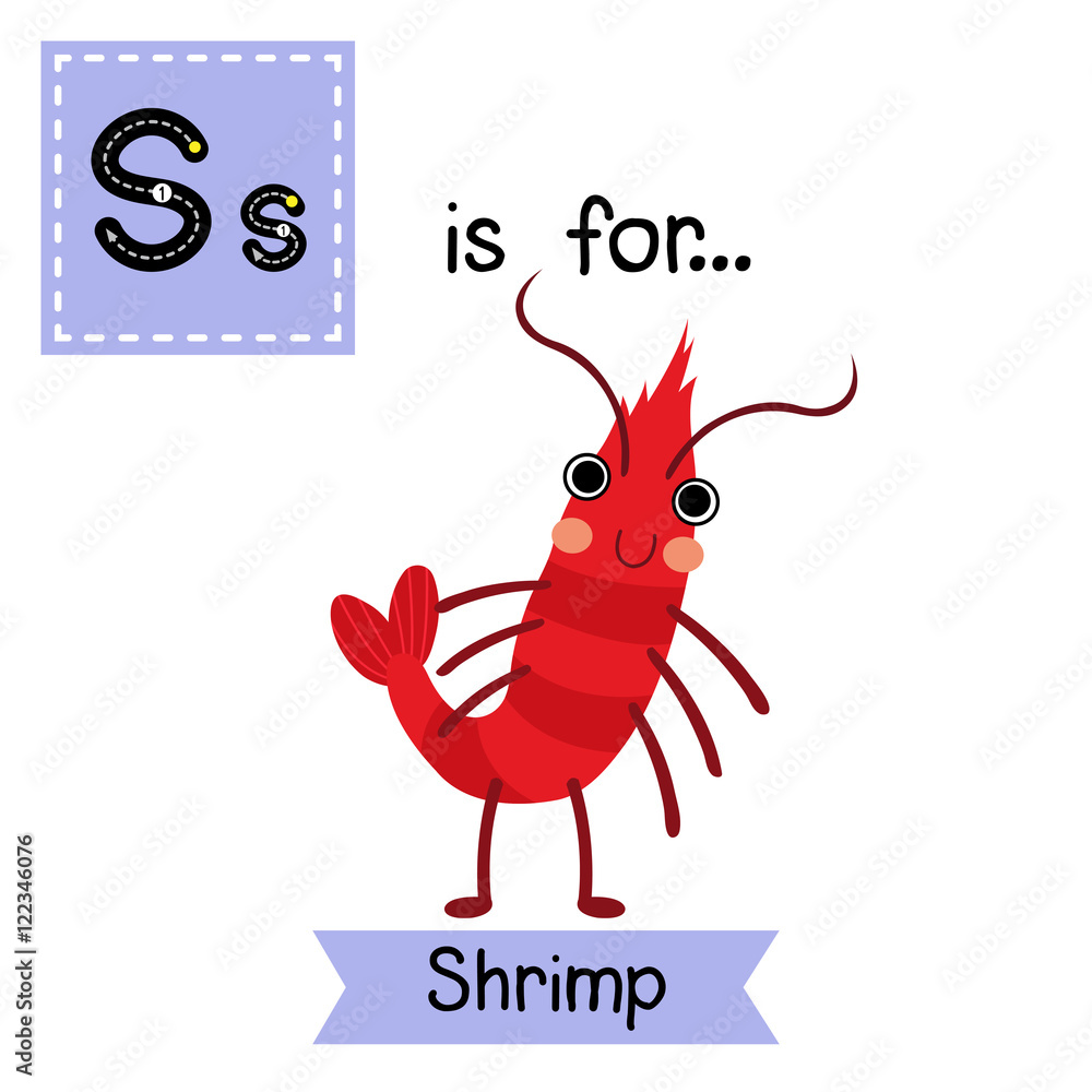 S letter tracing. Standing Shrimp. Cute children zoo alphabet flash ...