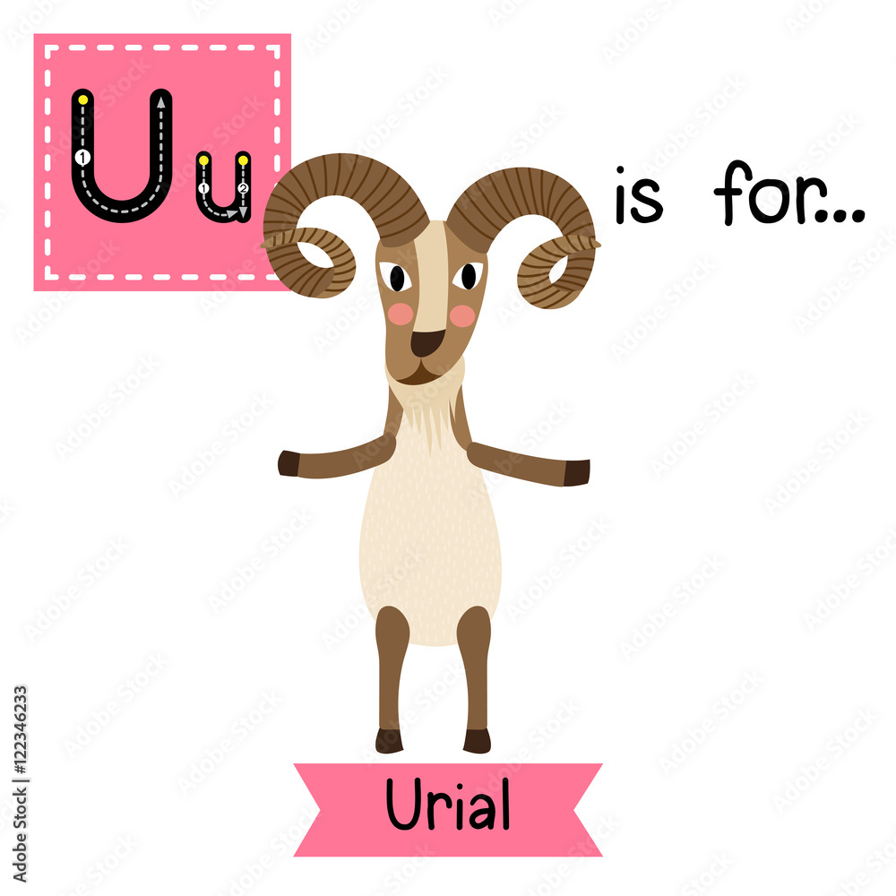 U letter tracing. Urial standing on two legs. Cute children zoo ...